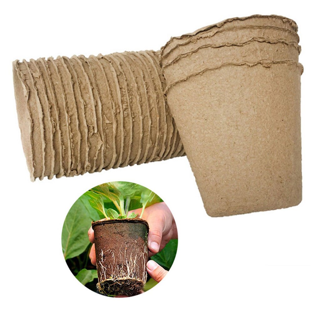 50 Pcs 6cm Paper Pot Plant Grow Flowers Pot Garden... – Grandado