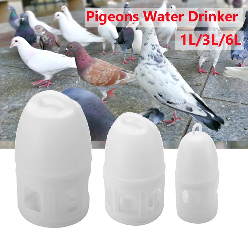 1l/3l/6l muovista valkoista juomapulloa kahvalla k... – Grandado