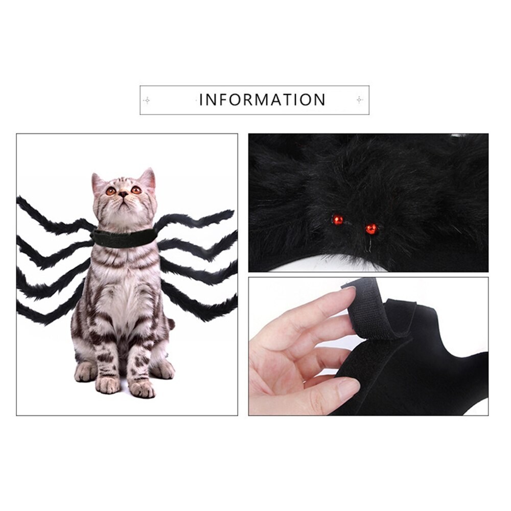 Spider Wing Clothes Pet Halloween Christmas Chest ... – Grandado