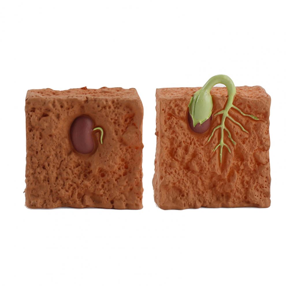 4Pcs Plants Grown Toy Simulation Educational PVC P... – Grandado