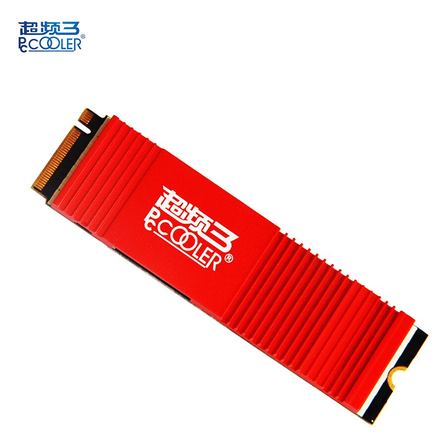 PCCOOLER SSD m2 NVME 128GB 256GBSolid State Drive ... – Grandado