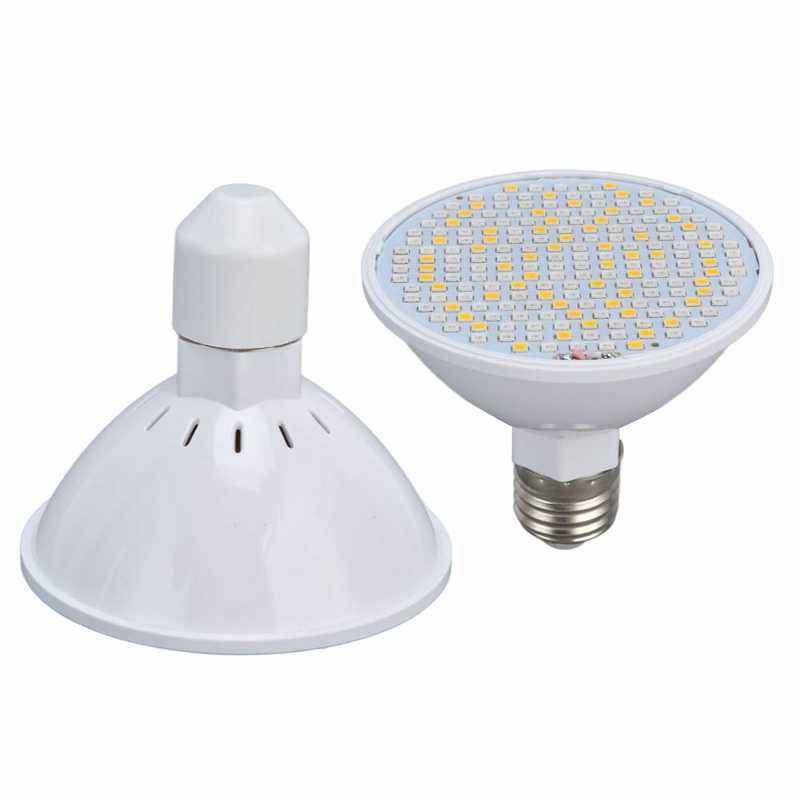 Beauty Lamp Fysiotherapie Lamp Abs Voor Thuis Voor... – Vicedeal