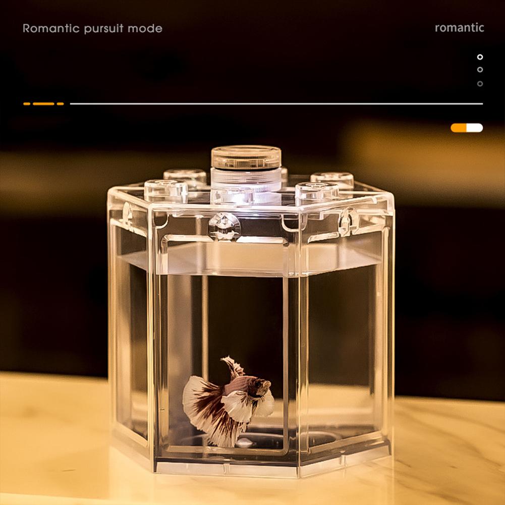 1Pc Small Aquarium Acrylic Ecological Tank Landsca... – Grandado