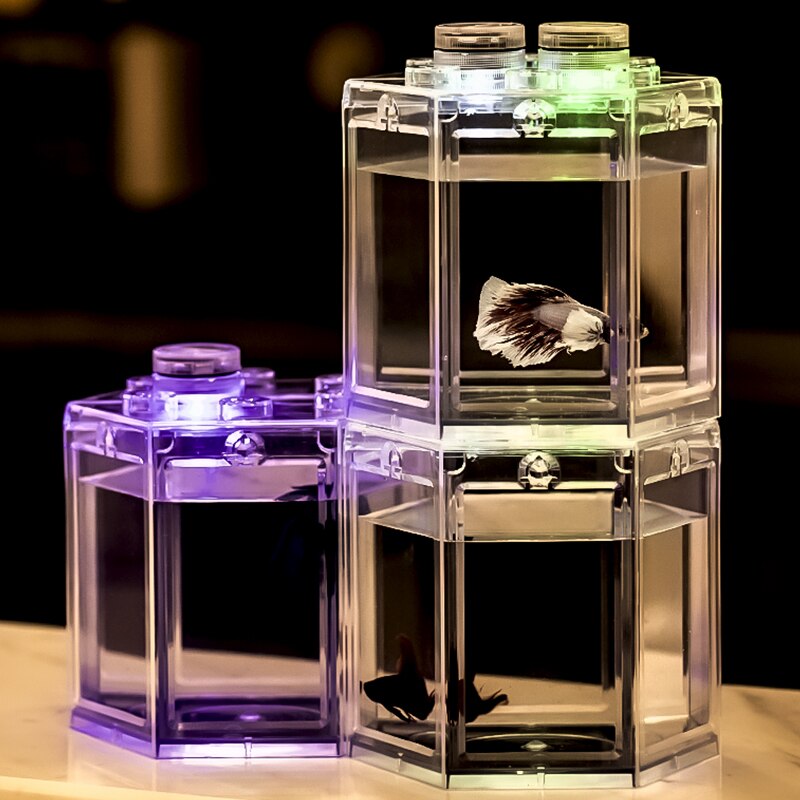 Desktop Aquarium Fish Tank Turtle Tank Office Mini... – Grandado