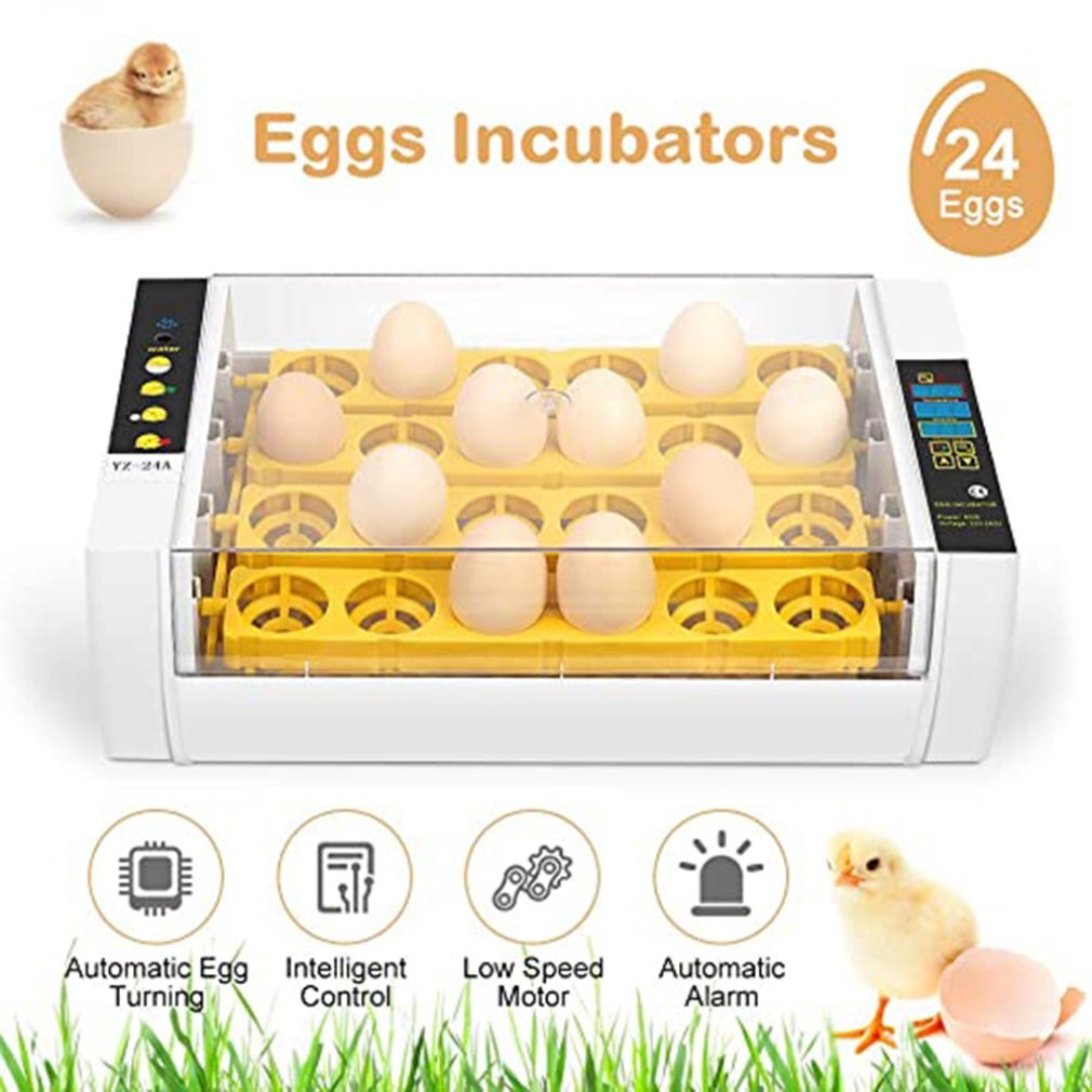 24 eggs incubator Fully automatic egg incubator Ch... – Grandado