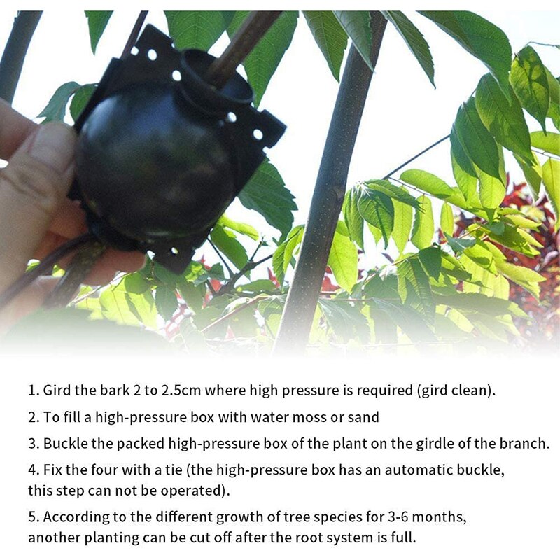 1-10pc Plant Rooting Ball Grafting Rooting Growing... – Grandado
