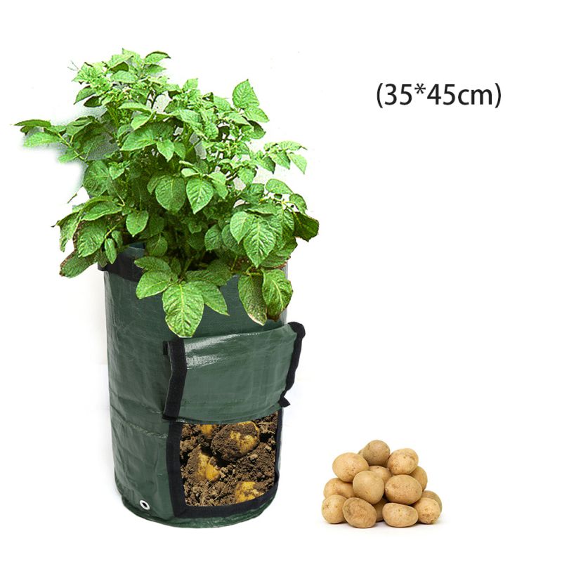Household Plant Growth Bag Potato Garden Greenhous... – Grandado