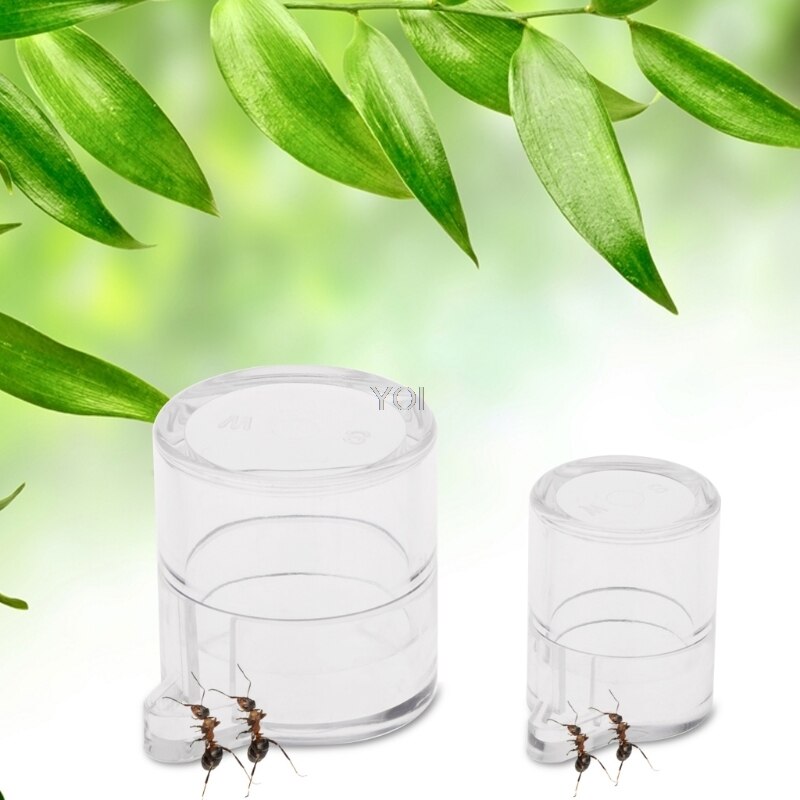 Ant Water Feeder Ant Farm Drinking Equipment Insec... – Vicedeal