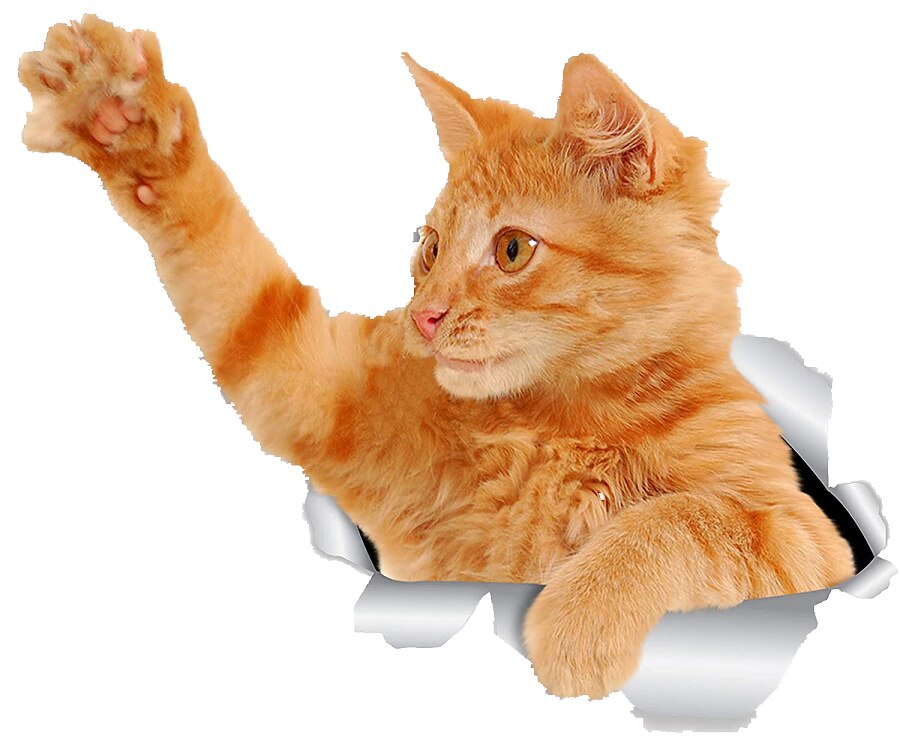 Three Ratels FTC-1097 3D Reaching Ginger Cat Stick... – Vicedeal