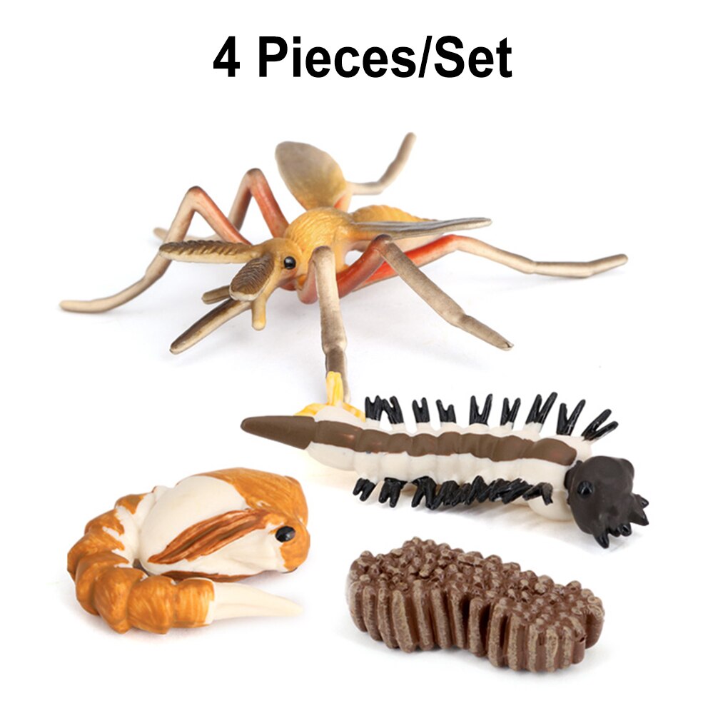 Mosquito Models Kit Simple Small Animal Model Inte... – Grandado