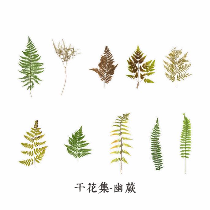 XINAHER 20 sheets/bag Retro Dried flower leaf seri... – Grandado