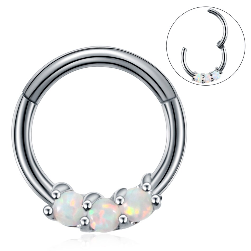 1PC 16G Steel Nose Piercing Segment Hinged Rings P... – Grandado