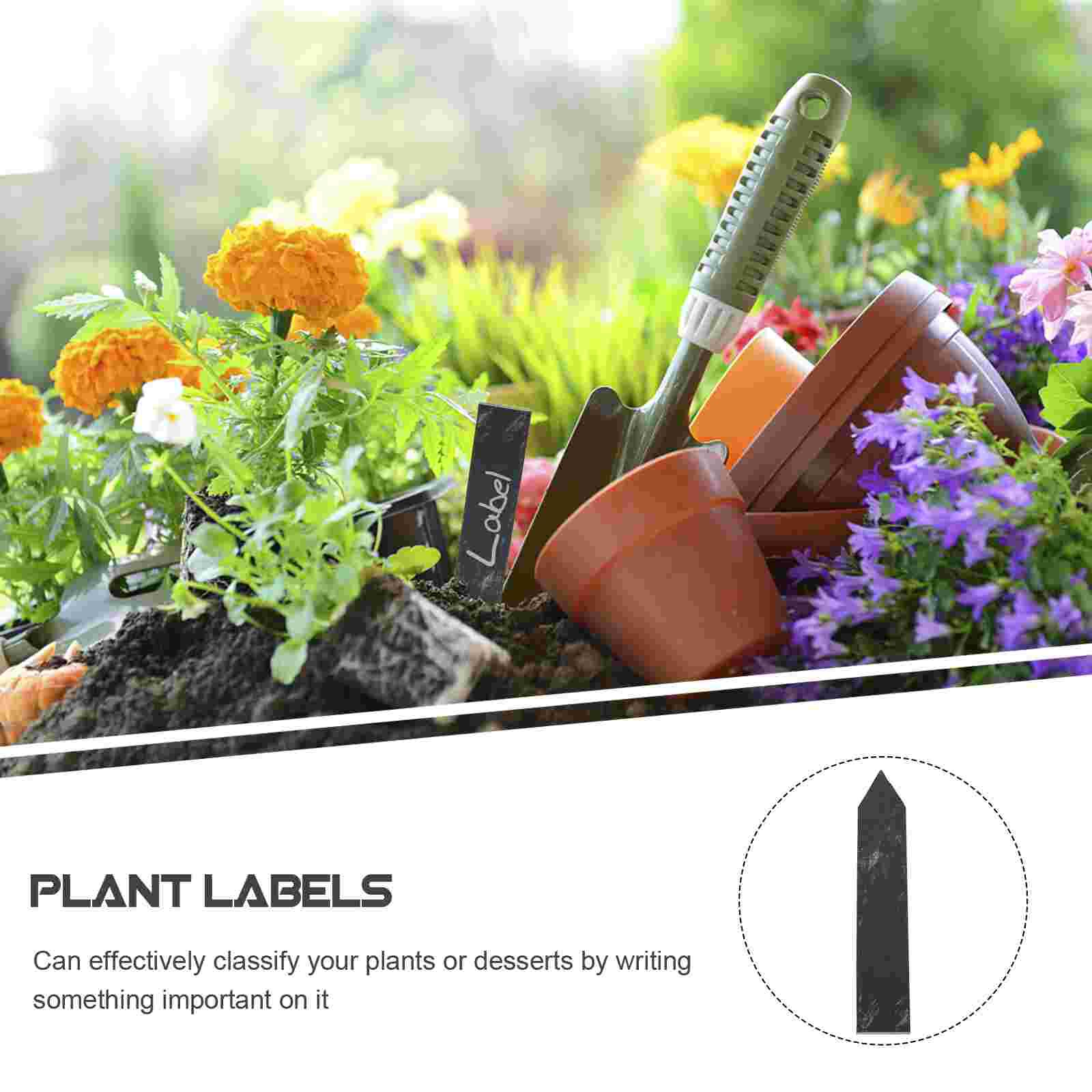 10pcs Slate Plant Labels Flower Plant Name Tags St... – Vicedeal
