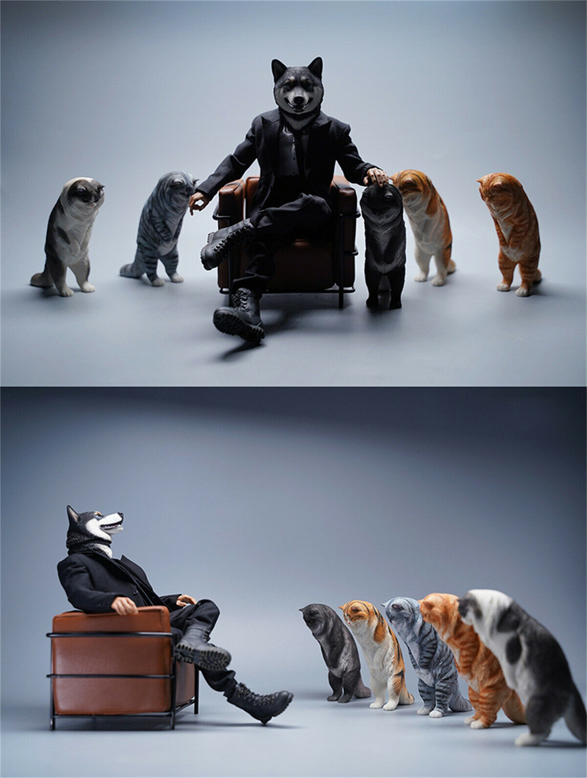 JXK 1/6 Maine Coon Model Animal Cute Cat Funny Col... – Grandado
