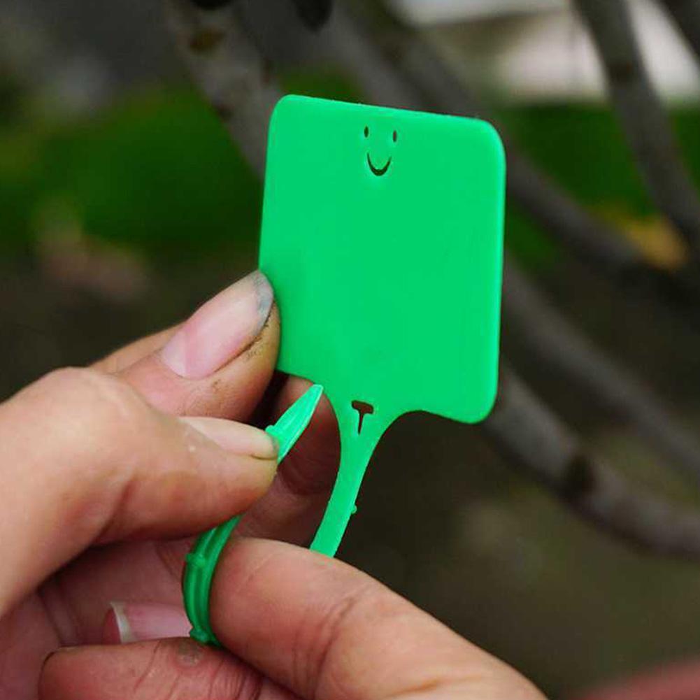 100pcs Garden Labels Plant Tags Sorting Sign Tag T... – Grandado