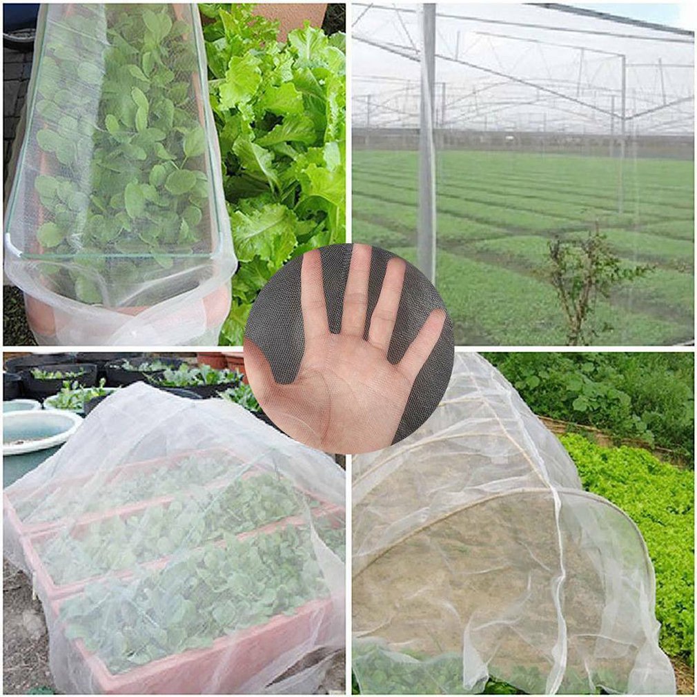 60 Mesh High-density Garden Vegetable Insect Net G... – Grandado
