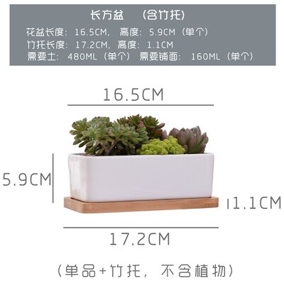 Simple white mini succulents ceramic pots with rec... – Grandado