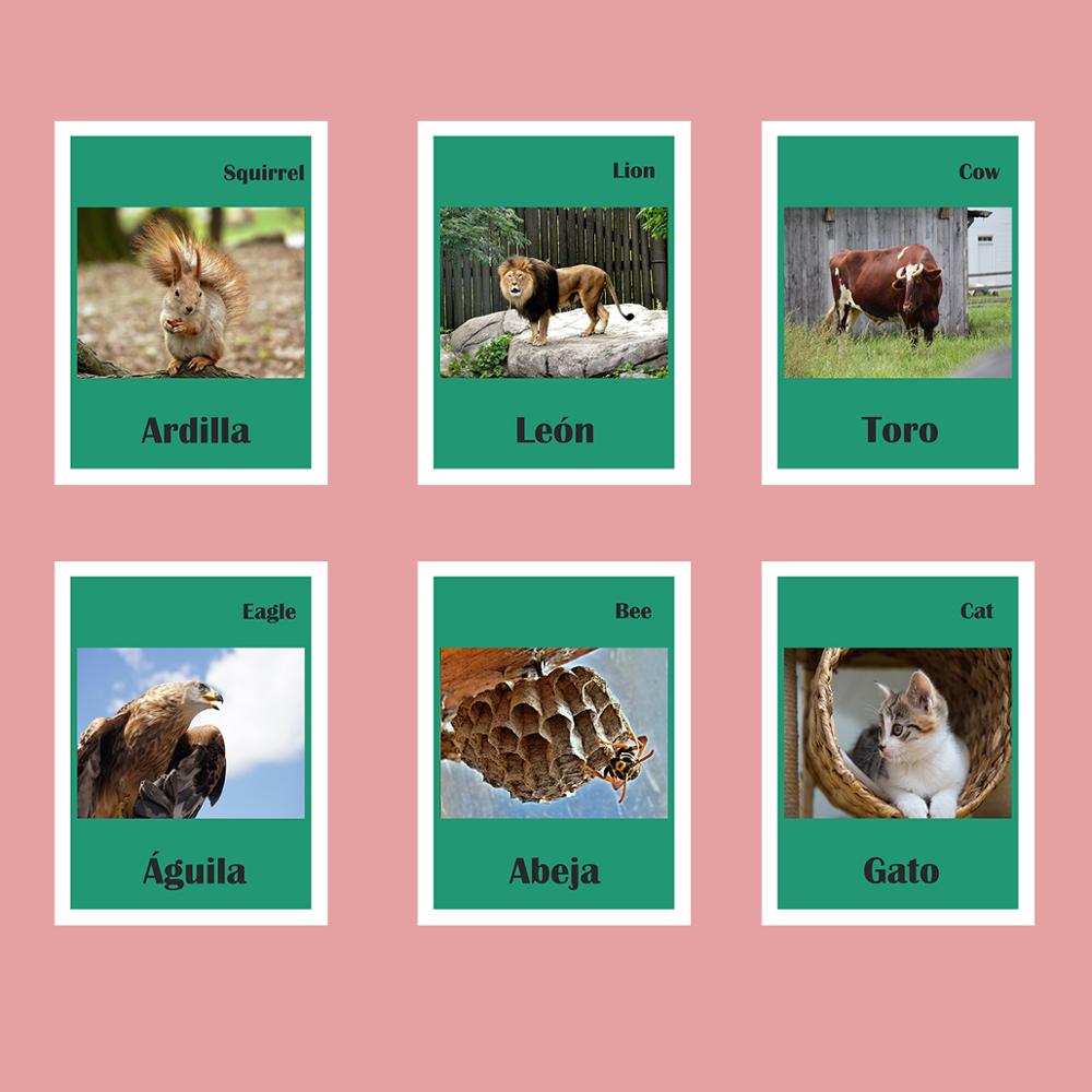 Spanish/English Animals Words Card Phonics Words F... – Vicedeal