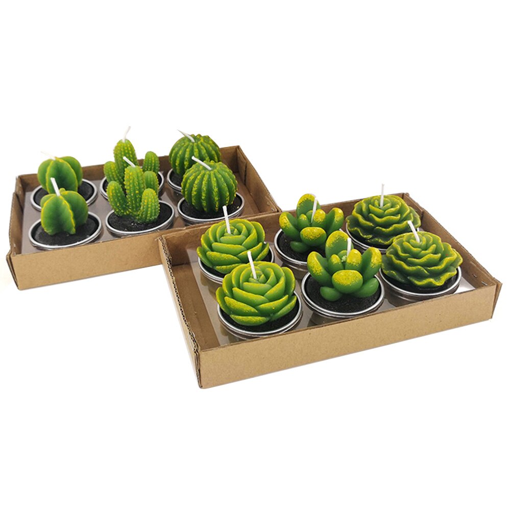 12 pçs/set Suculentas Cactos Do Bebê Home Decor Ev... – Grandado