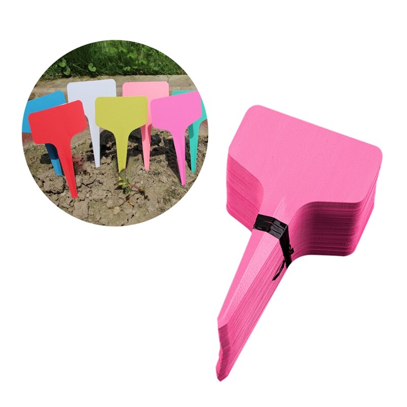 100Pcs Garden Tags T Type PVC Seedings Tag Sign Pl... – Vicedeal