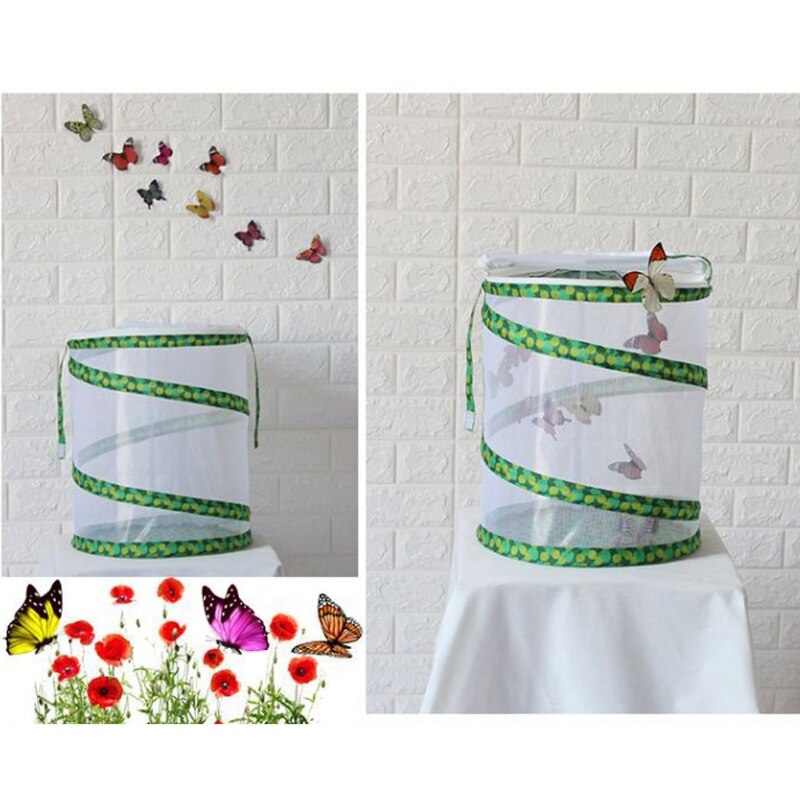 Insect and Butterfly Habitat Cage Terrarium Insect... – Grandado