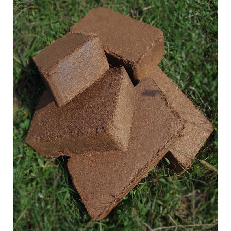 BESTOYARD Coconut Fiber Soil Direct Plant Seed Sta... – Grandado