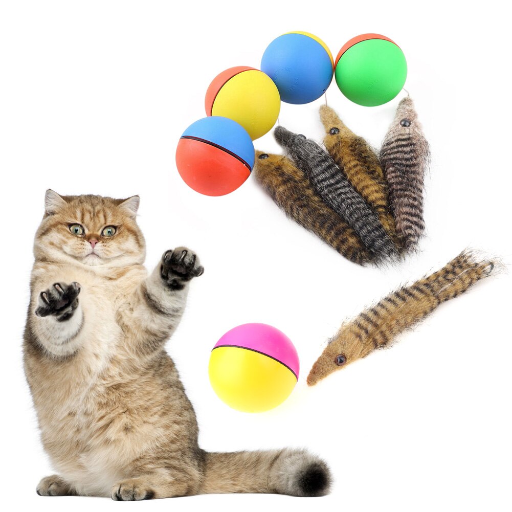 1Pcs Cat Toys Beaver Weasel Rolling Motor Ball Toy... – Grandado