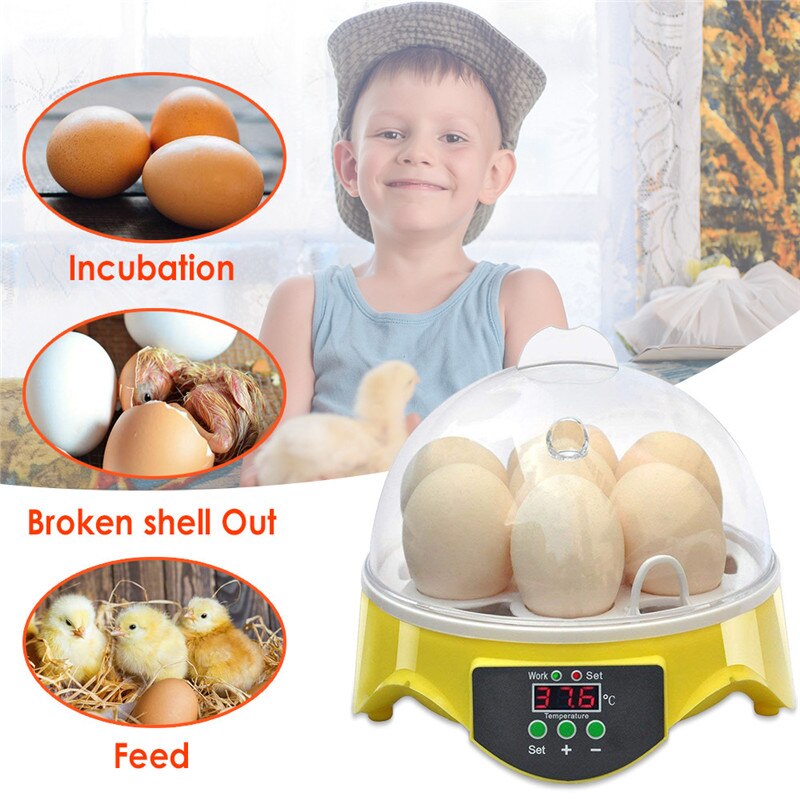 Mini 7 Eggs Incubator Poultry Incubator Brooder Di... – Vicedeal