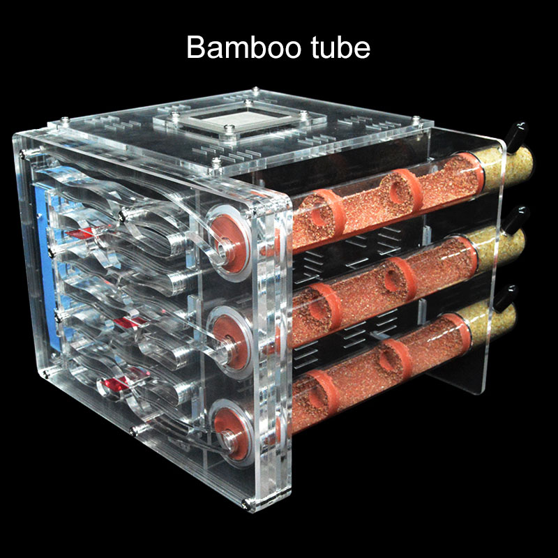 DIY Acrylic Ant Farm Ecological 3 Bamboo Test Tube... – Grandado