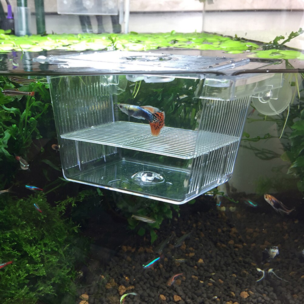 Fish Decoration Spawning Hatching Room Acrylic Fis... – Grandado