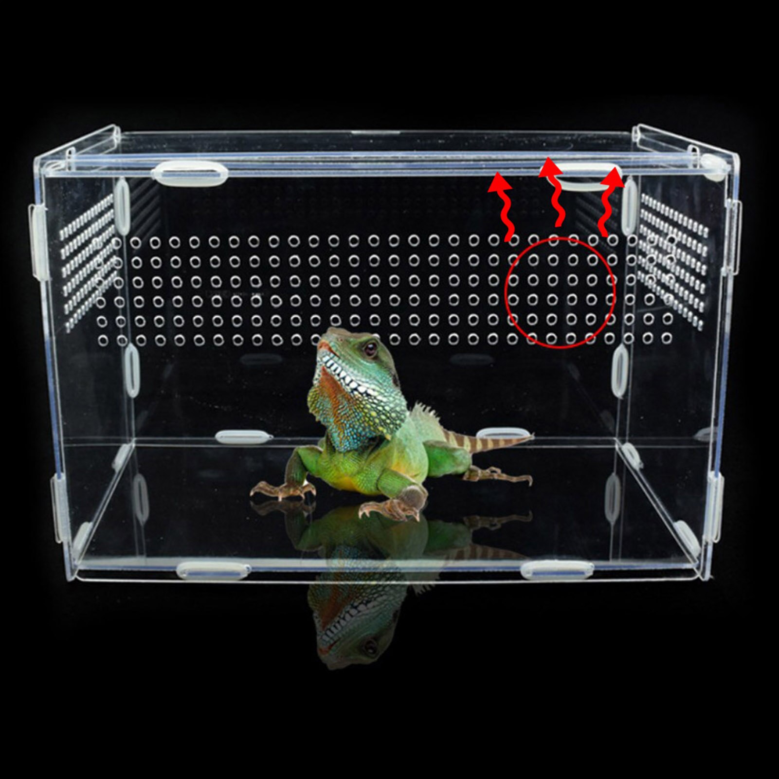 Reptile Breeding Box Acrylic Feeding Box For Spide... – Vicedeal