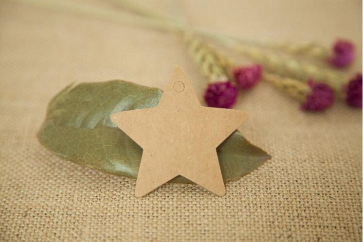 500pcs Price Label star Shape Garment labels Kraft... – Grandado