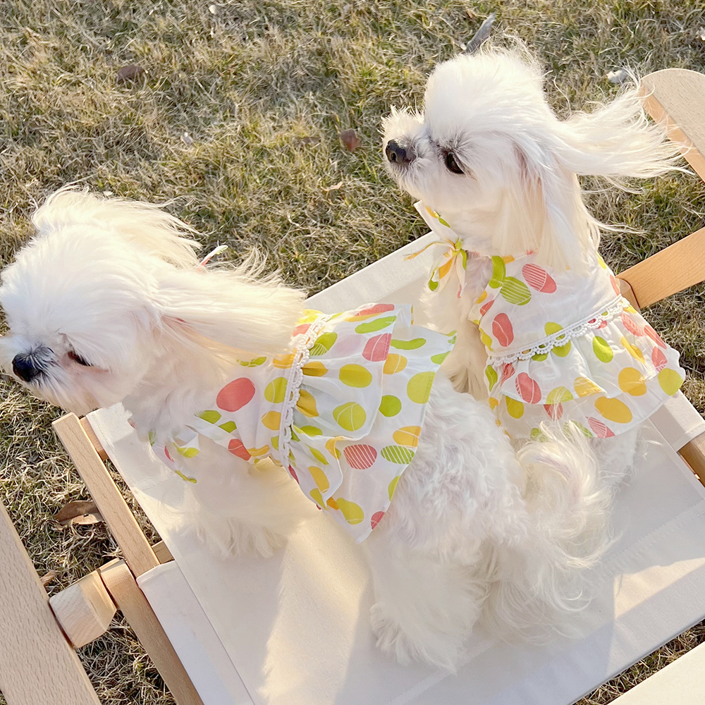 Summer Point Pet Suspender Clothes for Dogs Floral... – Grandado