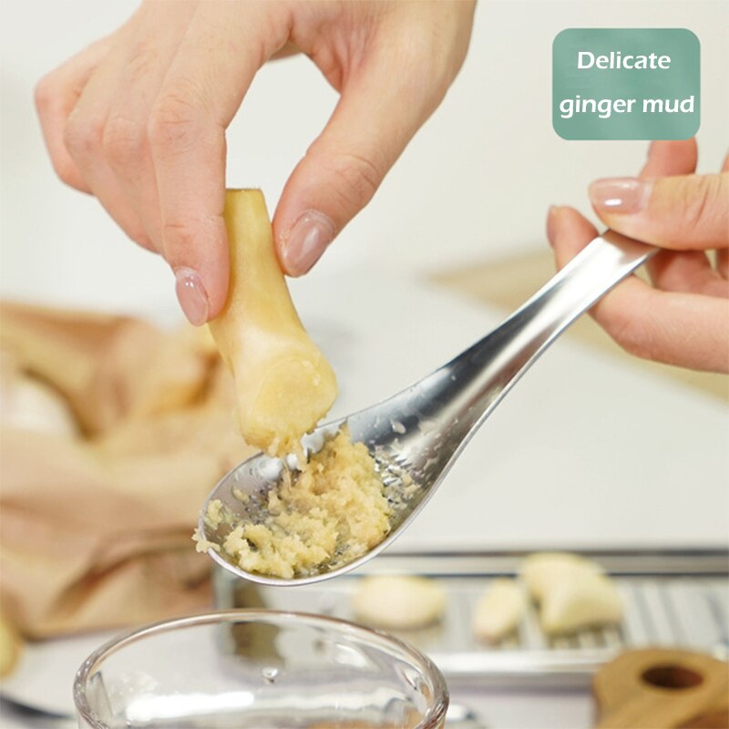 Stainless Steel Garlic Presser Lemon Zester Crushe... – Vicedeal