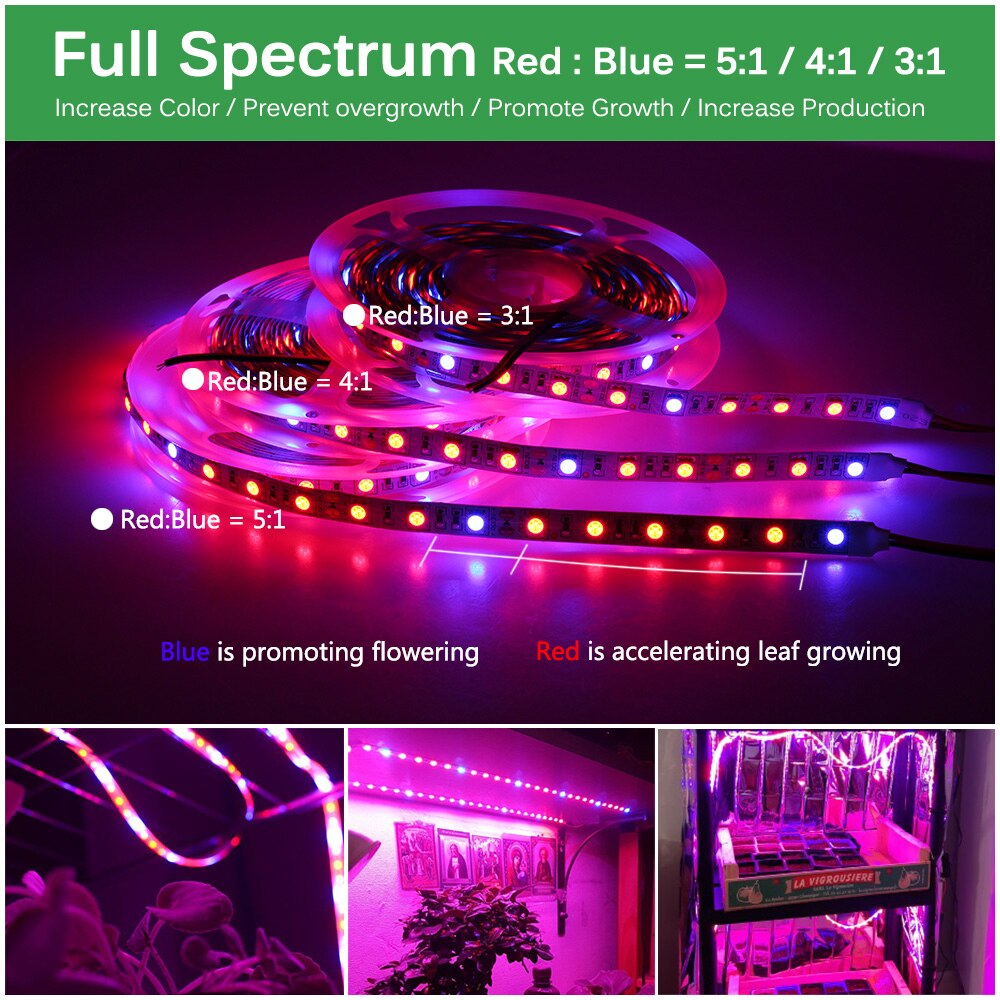 Plant Grow Light Strip Full Spectrum Phytolamp 5m ... – Grandado