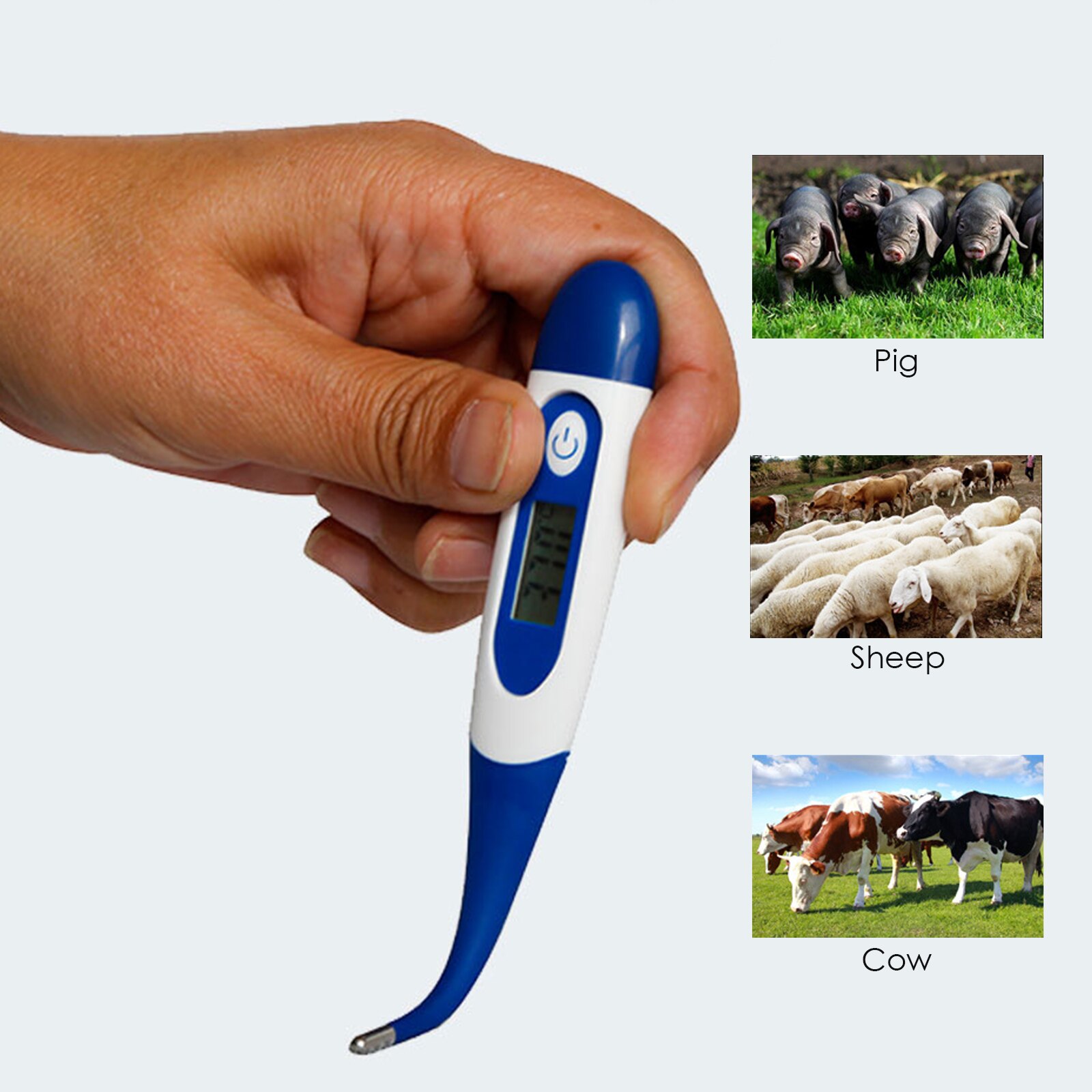 Animal Thermometer Digital LED Display Thermometer... – Grandado