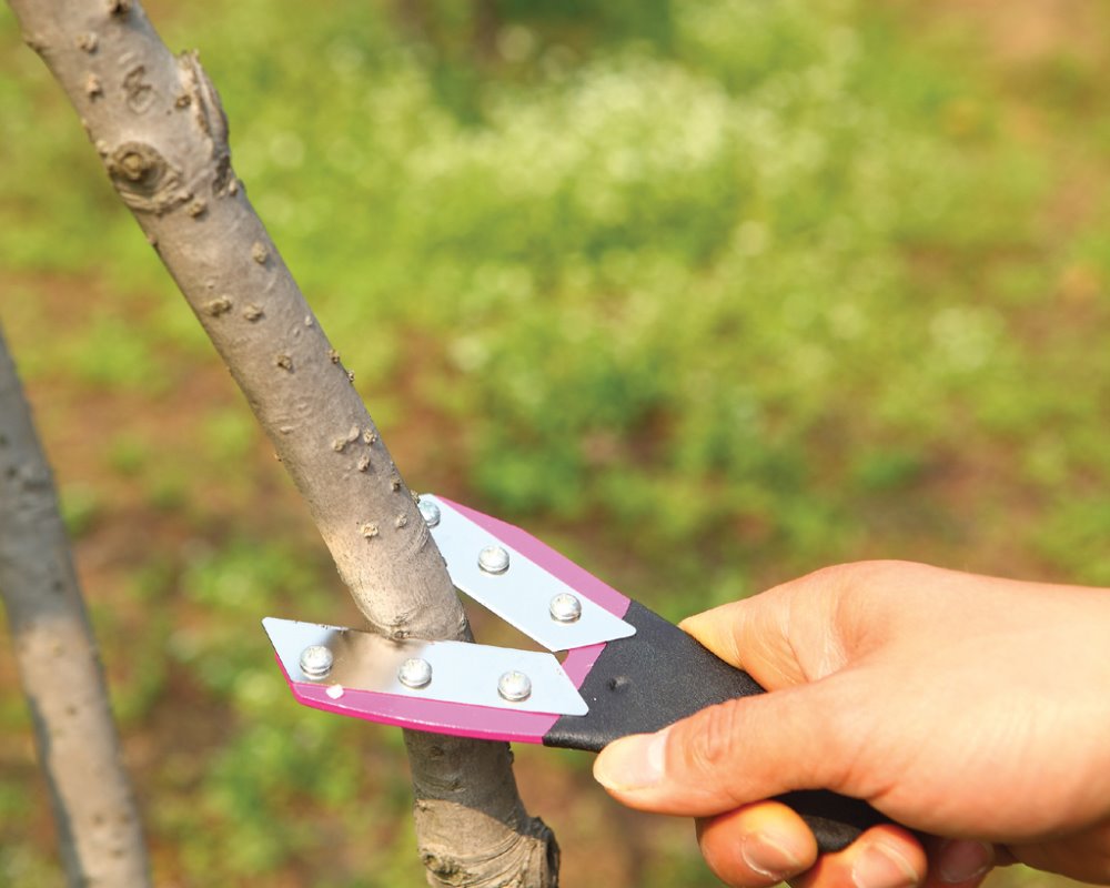 2 stks/set girdling mes boom tuin boom cutter saml... – Grandado