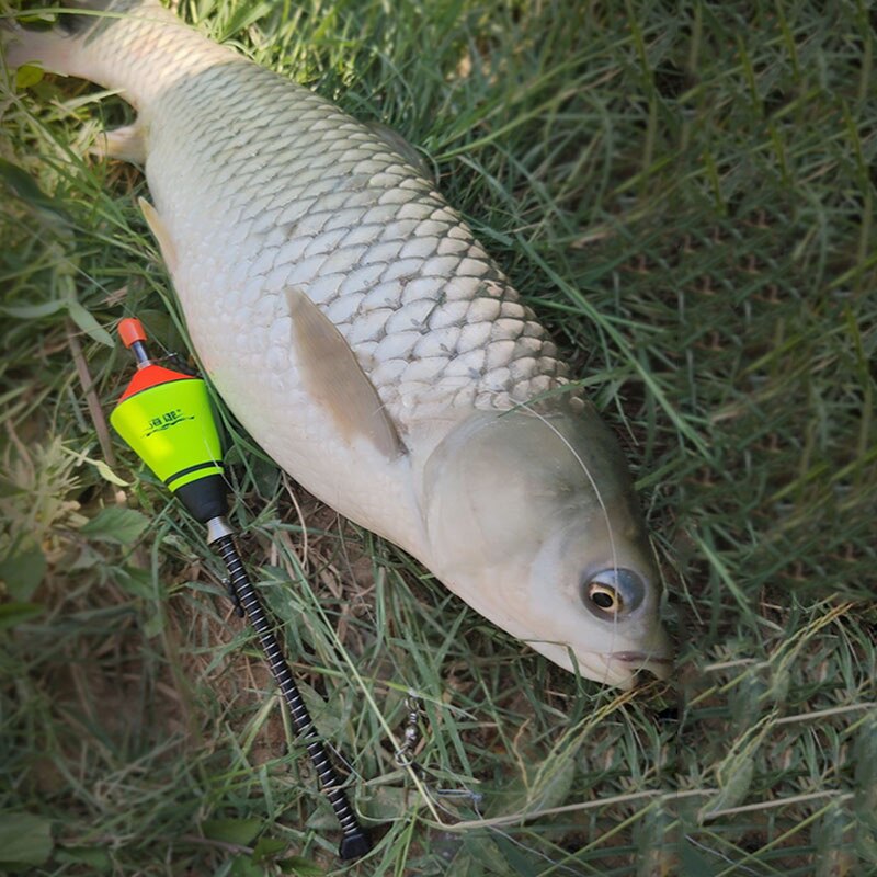 1Pcs Portable Automatic illuminate Carp Fishing Fl... – Grandado