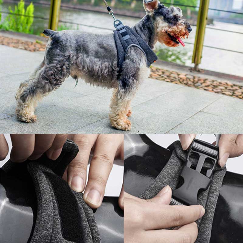 Åndbar hundesele snor sæt justerbar hvalp kat vest... – Grandado Åndbar hundesele snor sæt justerbar hvalp kat vest... – Grandado