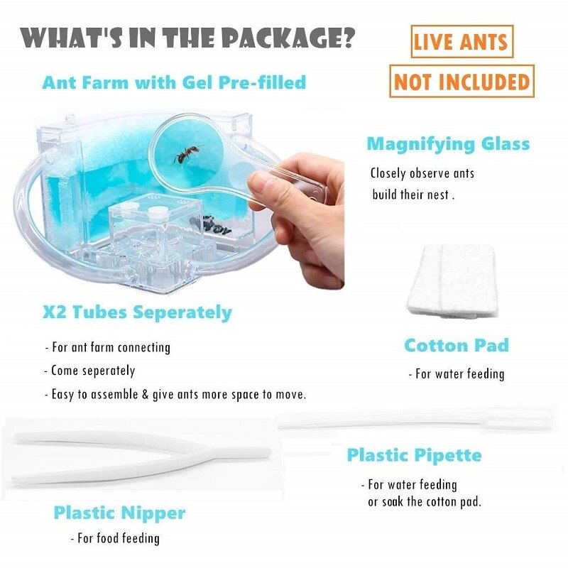 Connecting Ant Farm Castle with Tubes, Habitat Edu... – Grandado
