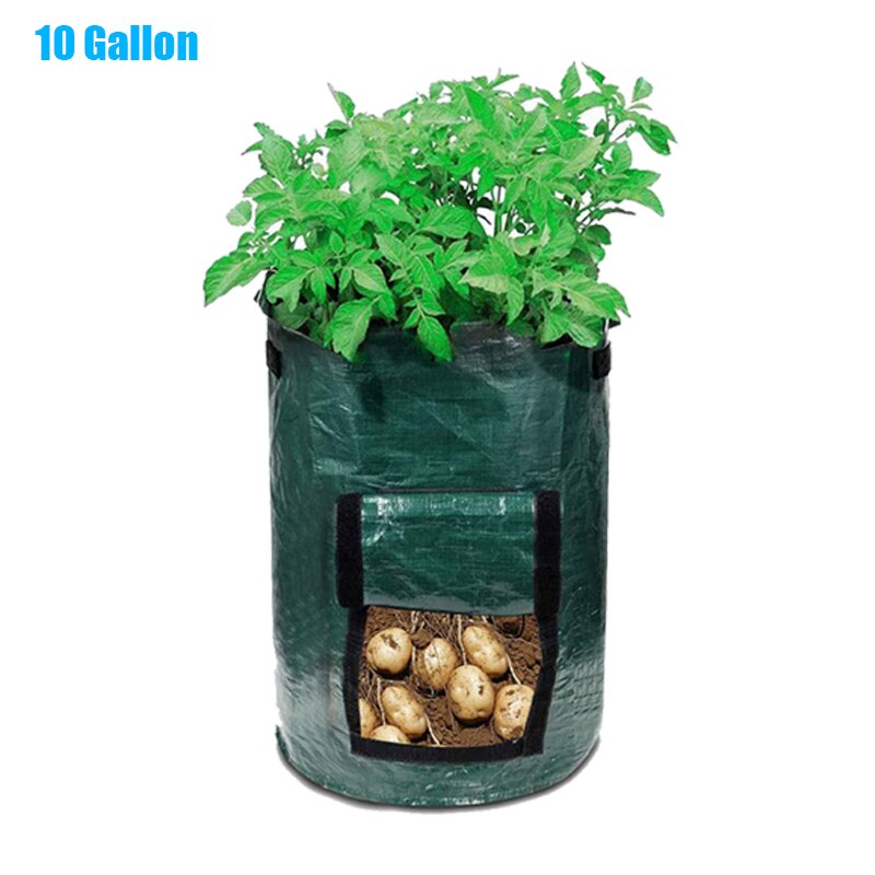 5 7 10 Gallon Potato Grow Container Bag DIY Plante... – Grandado