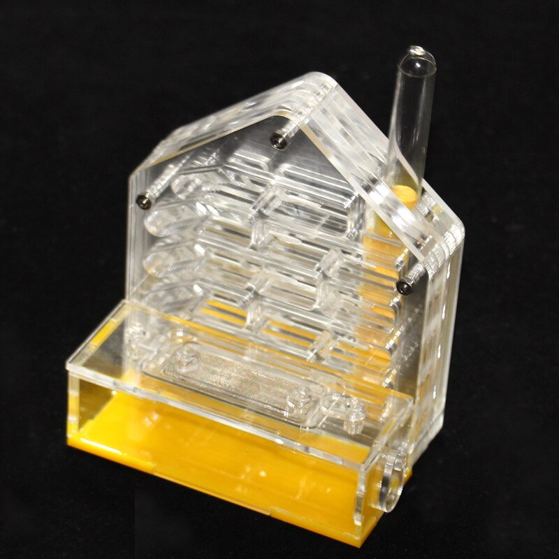 Pyramid Ant Farm Acrylic Ants Nest with Moisture A... – Grandado