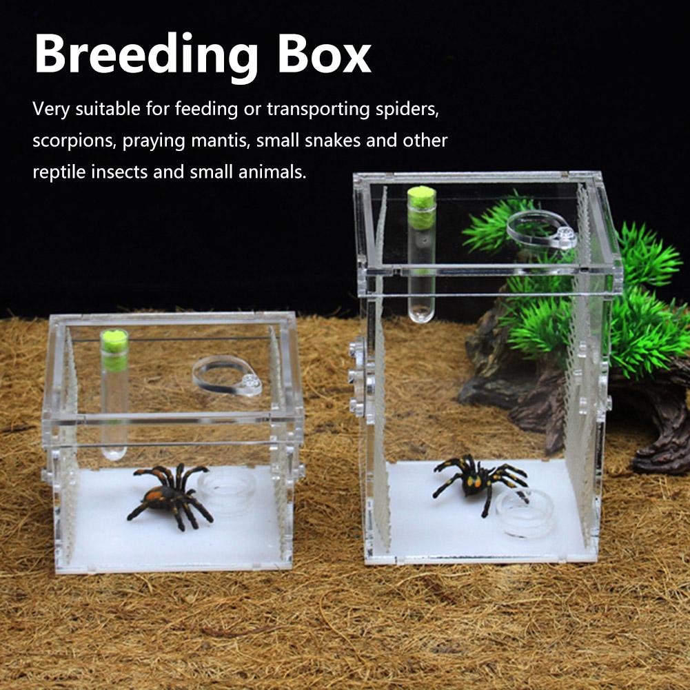 Reptile Breeding Box Acrylic Transparent Sliding C... – Grandado