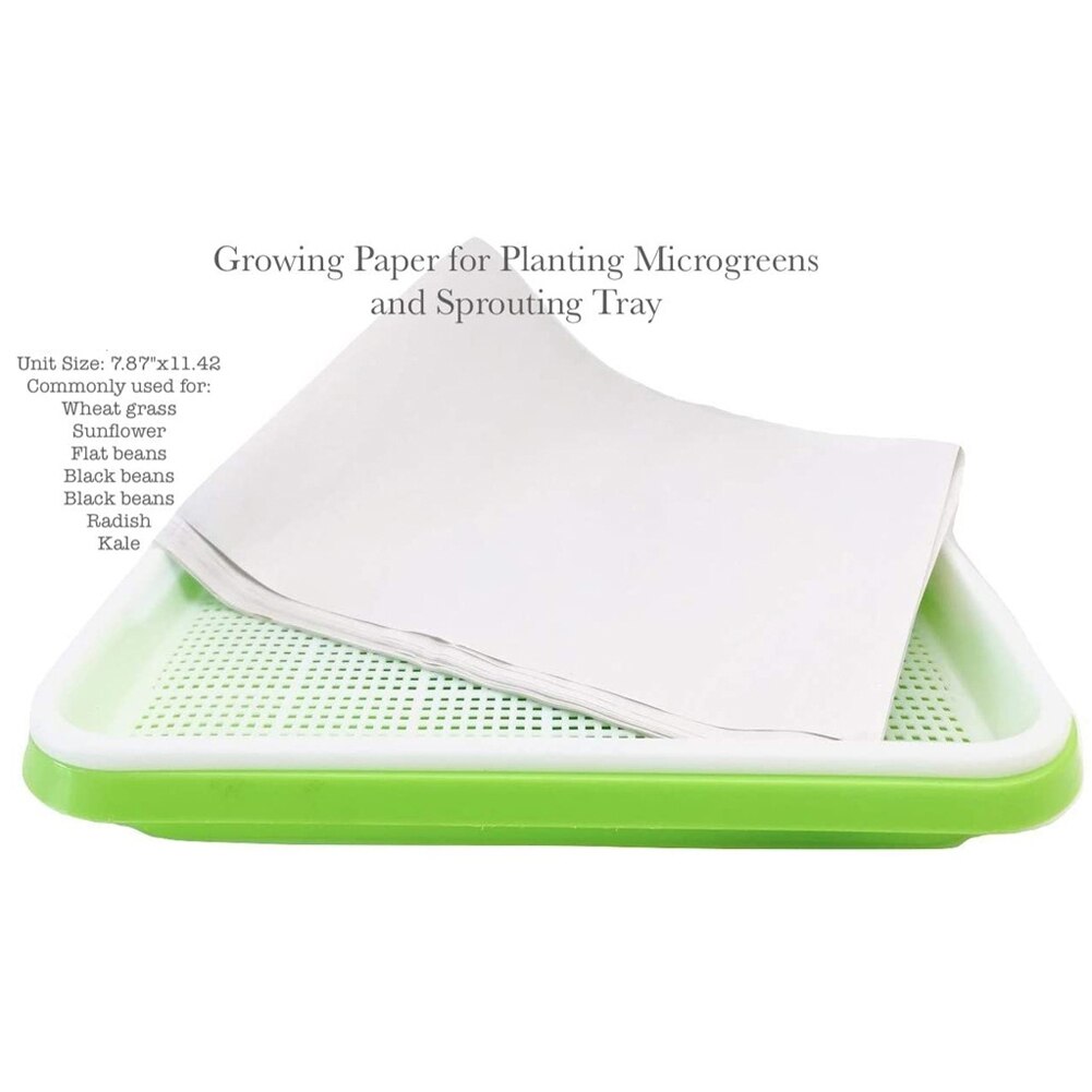 Sprouting Tray Bean Sprout Planter BPA-Free Home P... – Grandado