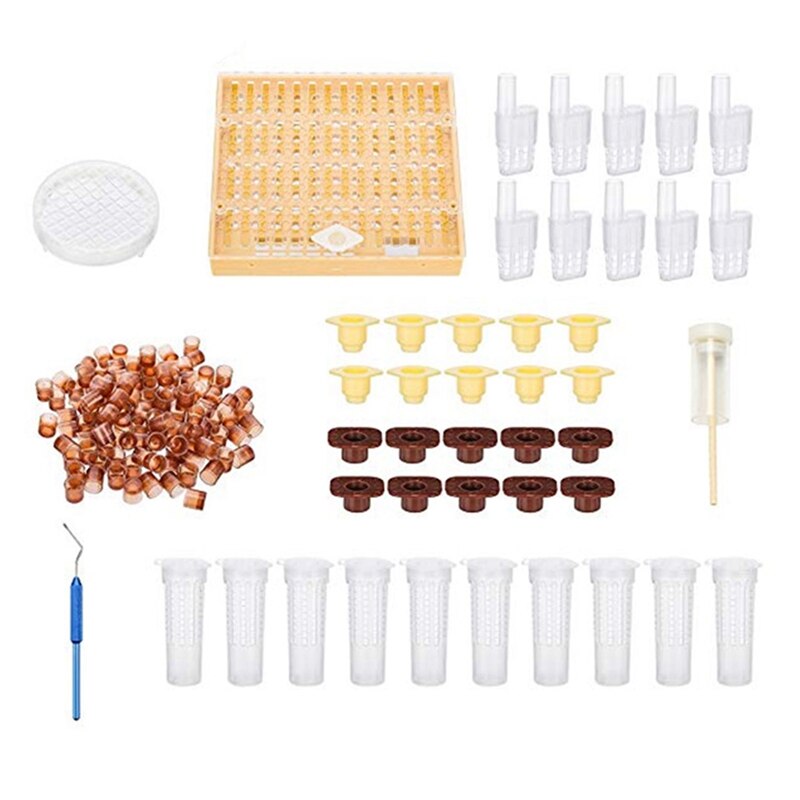 Complete Bee Queen Rearing Cup Kit System, Bee Bee... – Grandado