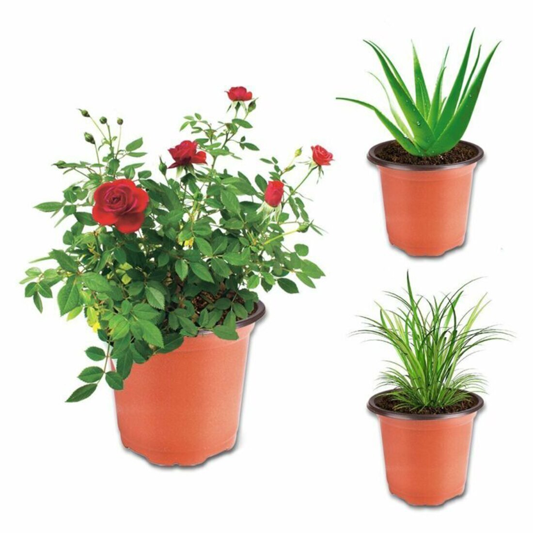 Plastic Planten Pot Tuinieren Planten Pot Groeien ... – Grandado