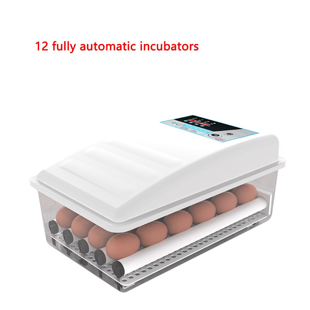 Small Household Incubator Automatic Incubator For ... – Vicedeal