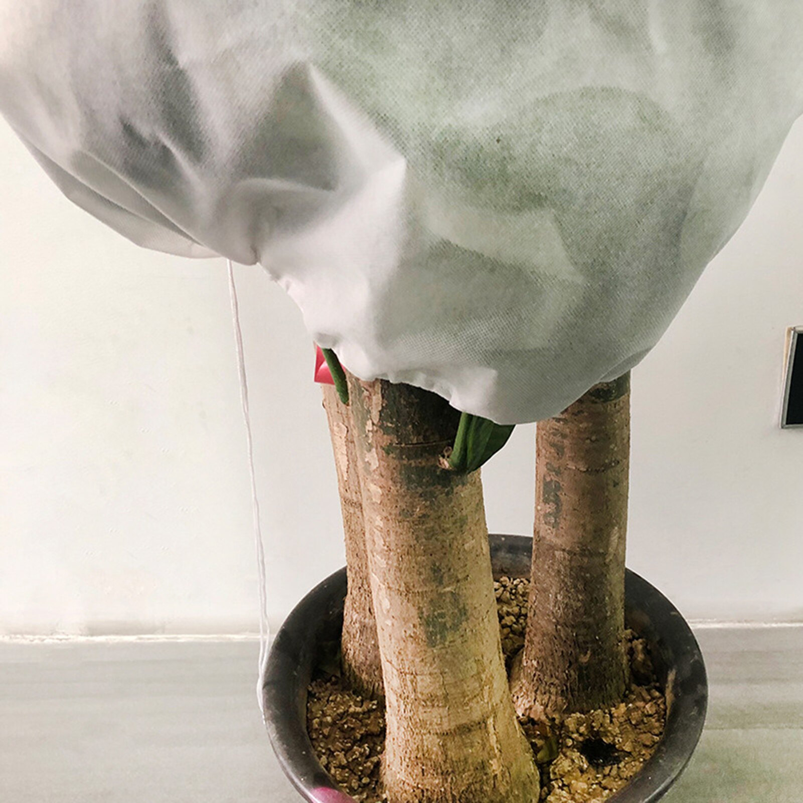 Plant Cover Boom Tegen Koude Wind Bescherming Tas ... – Grandado