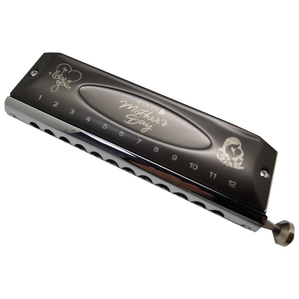 EASTTOP Harmonica Music Instruments Key of C 12 Ho... – Grandado
