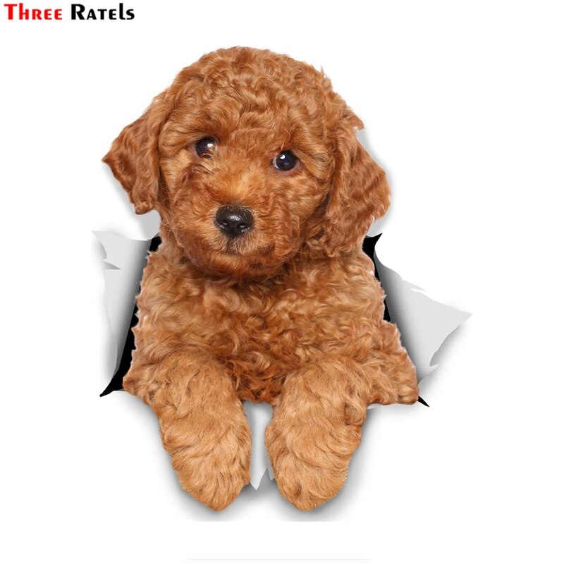 Drie Ratels FC56 3D Hond Stickers Rode Poedel Voor... – Vicedeal